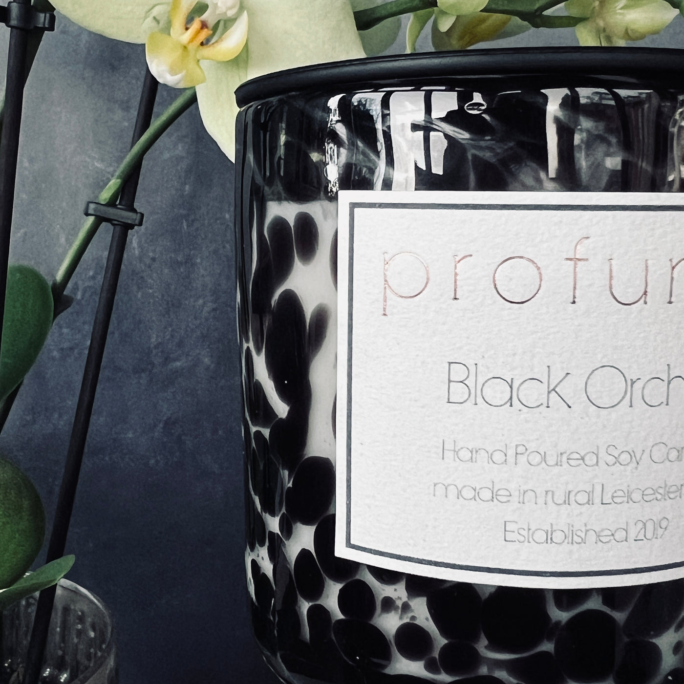 The very best in luxury scents for the home and lifestyle interior ...